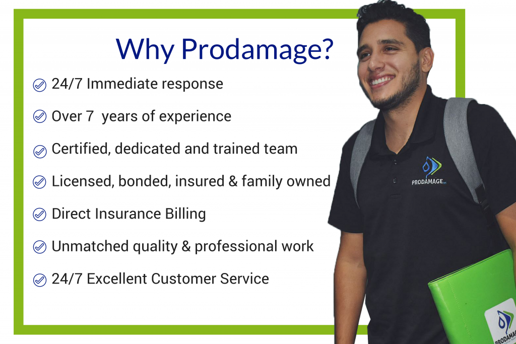 Prodamage – Professional Restoration